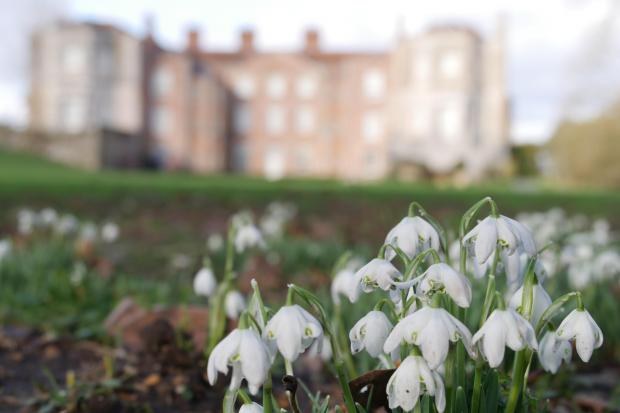 The Very Hungry Caterpillar trail coming to Hampshire National Trust ...
