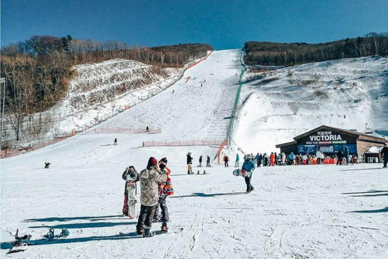 7 wisata musim dingin Korea Selatan, liburan seru dengan suasana salju