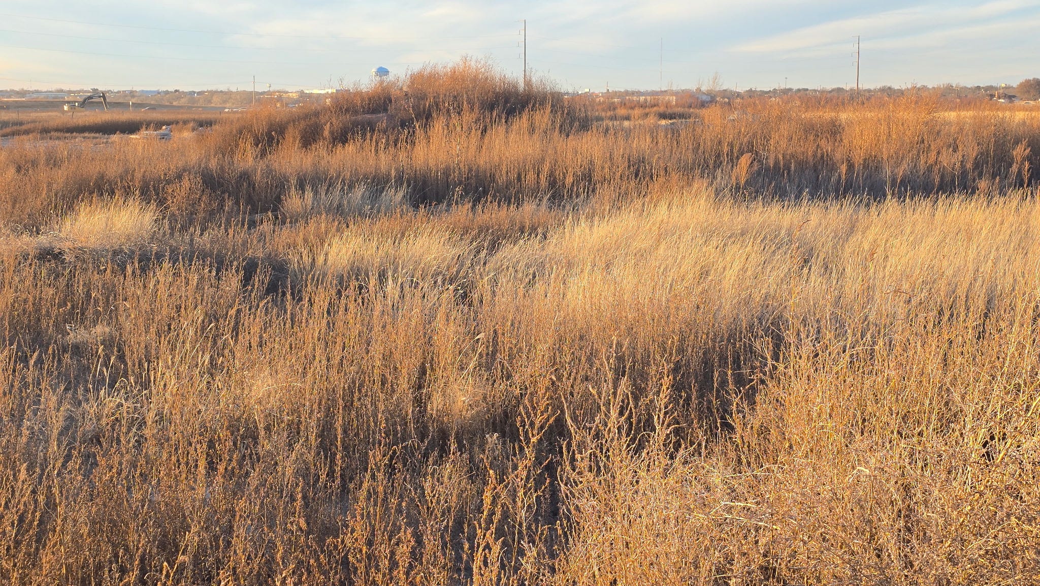 Most Texas Panhandle counties under burn bans as fire risk intensifies