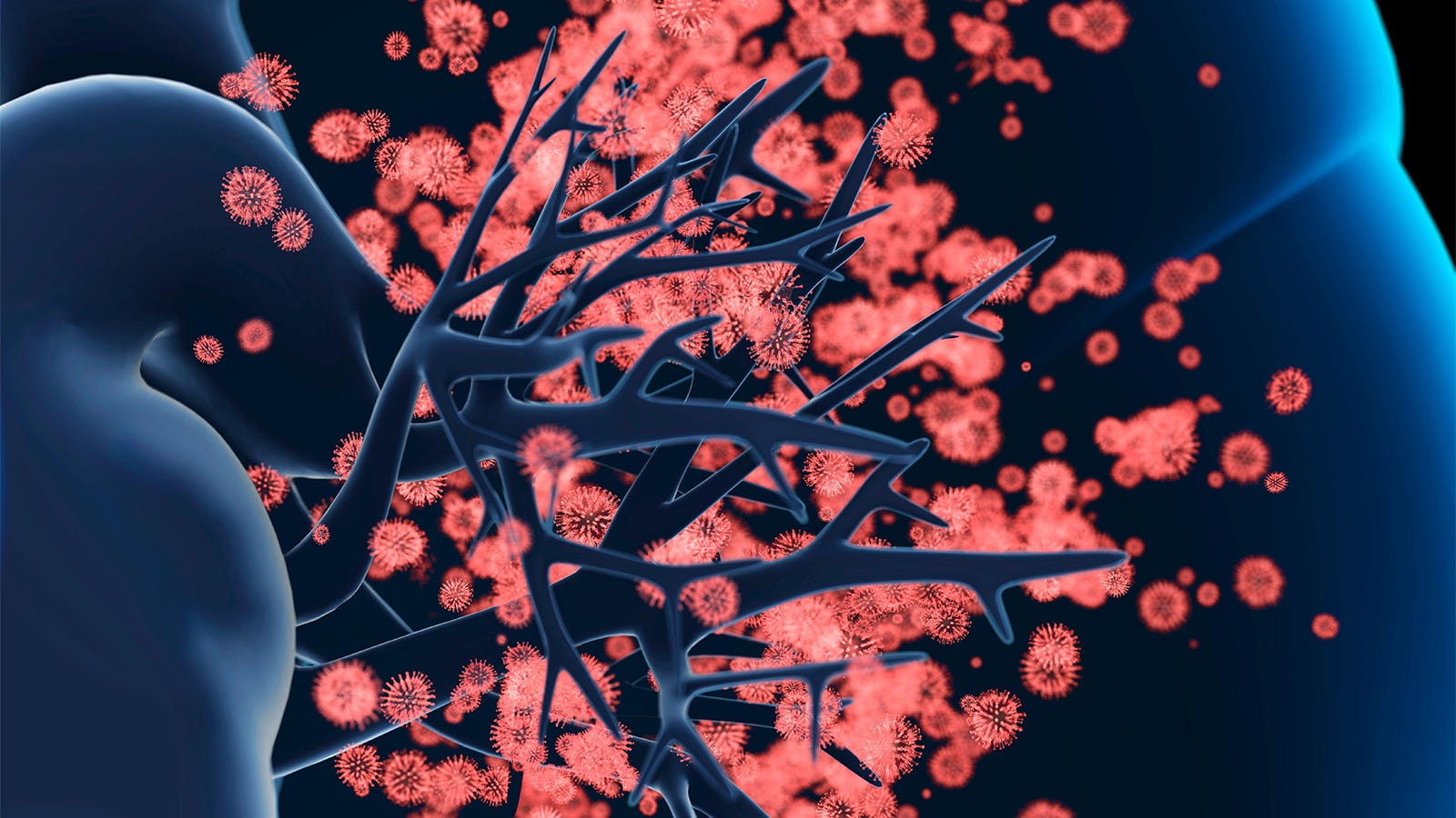 The ins and outs of respiratory virus vaccines for immunocompromised ...