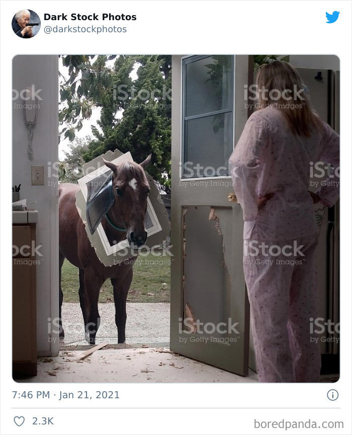 There’s a Twitter page entirely dedicated to the dark side of stock ...