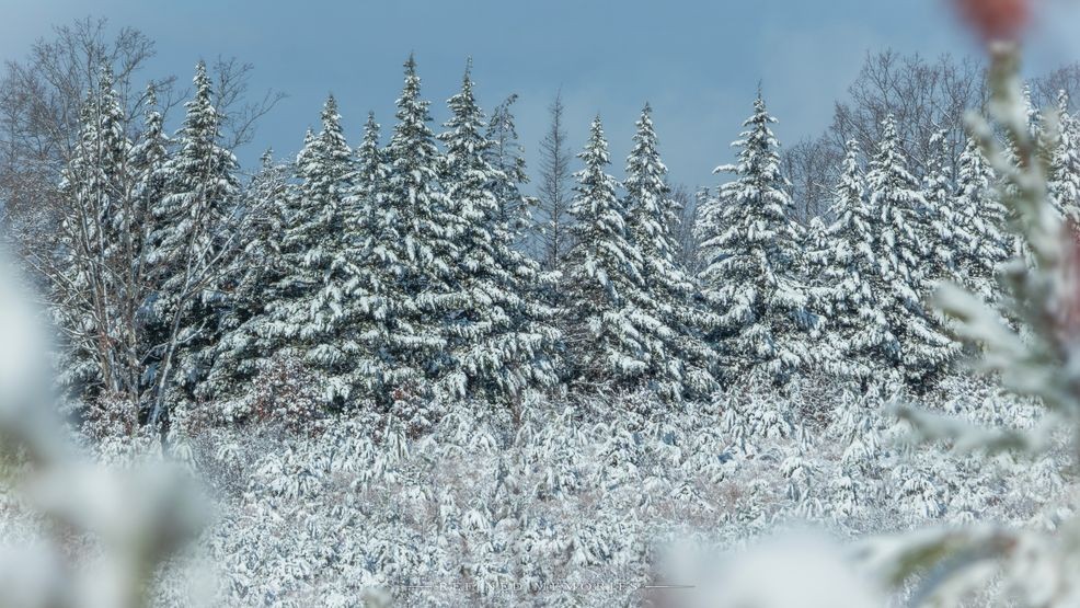 List: Restaurants open on Christmas Day in the ABC13 area