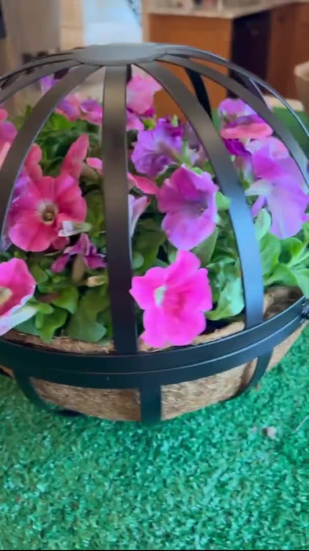 Zip tie two hanging baskets together...😍