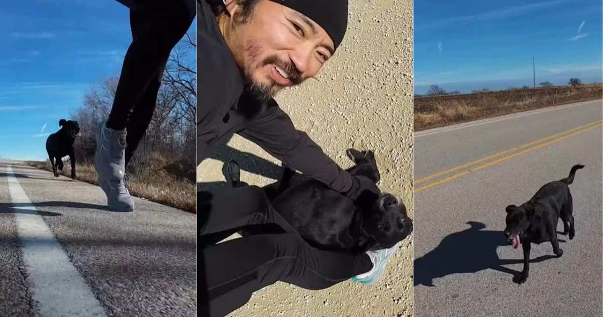 Video of farm dog running behind a stranger ends adorably