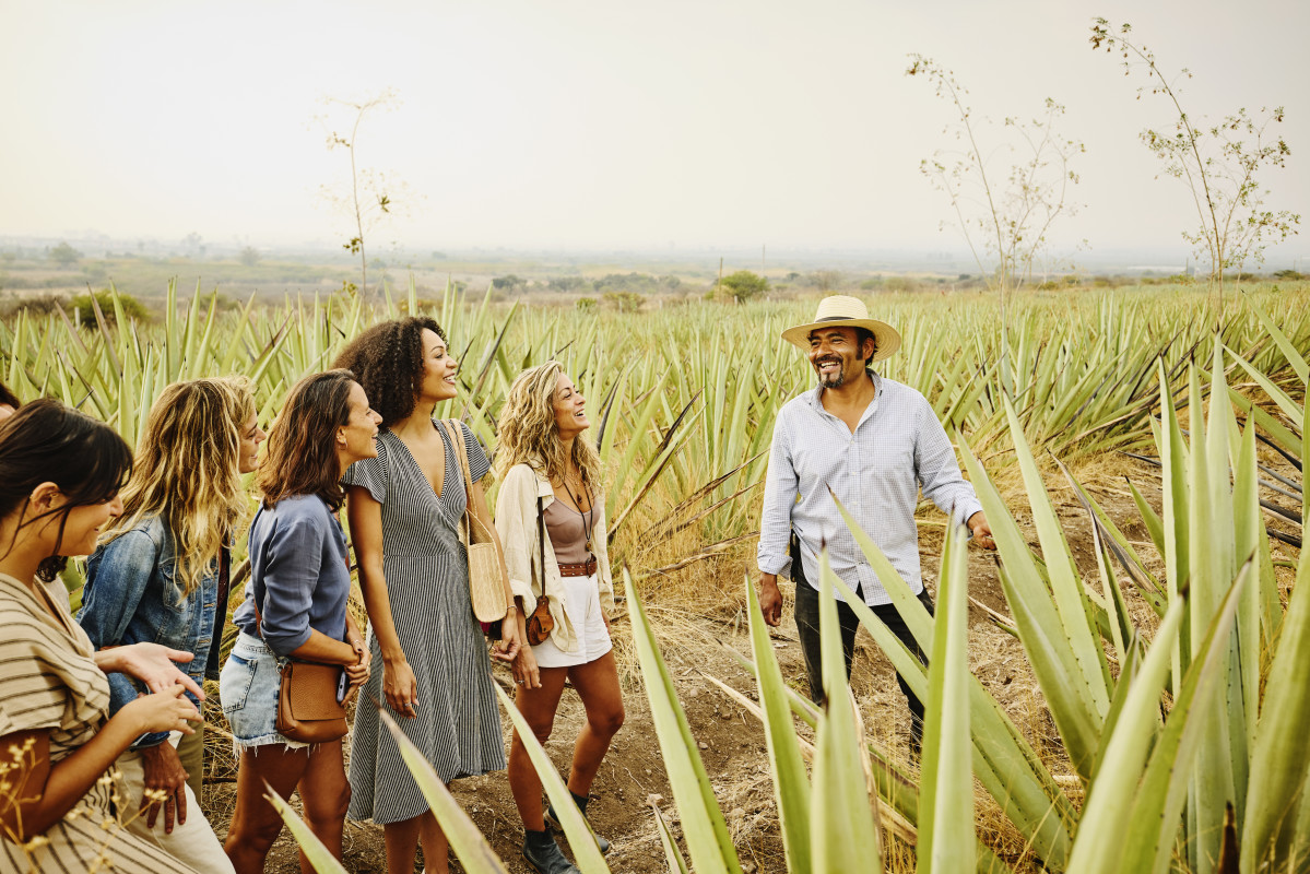 Here's how much you should tip travel tour guides