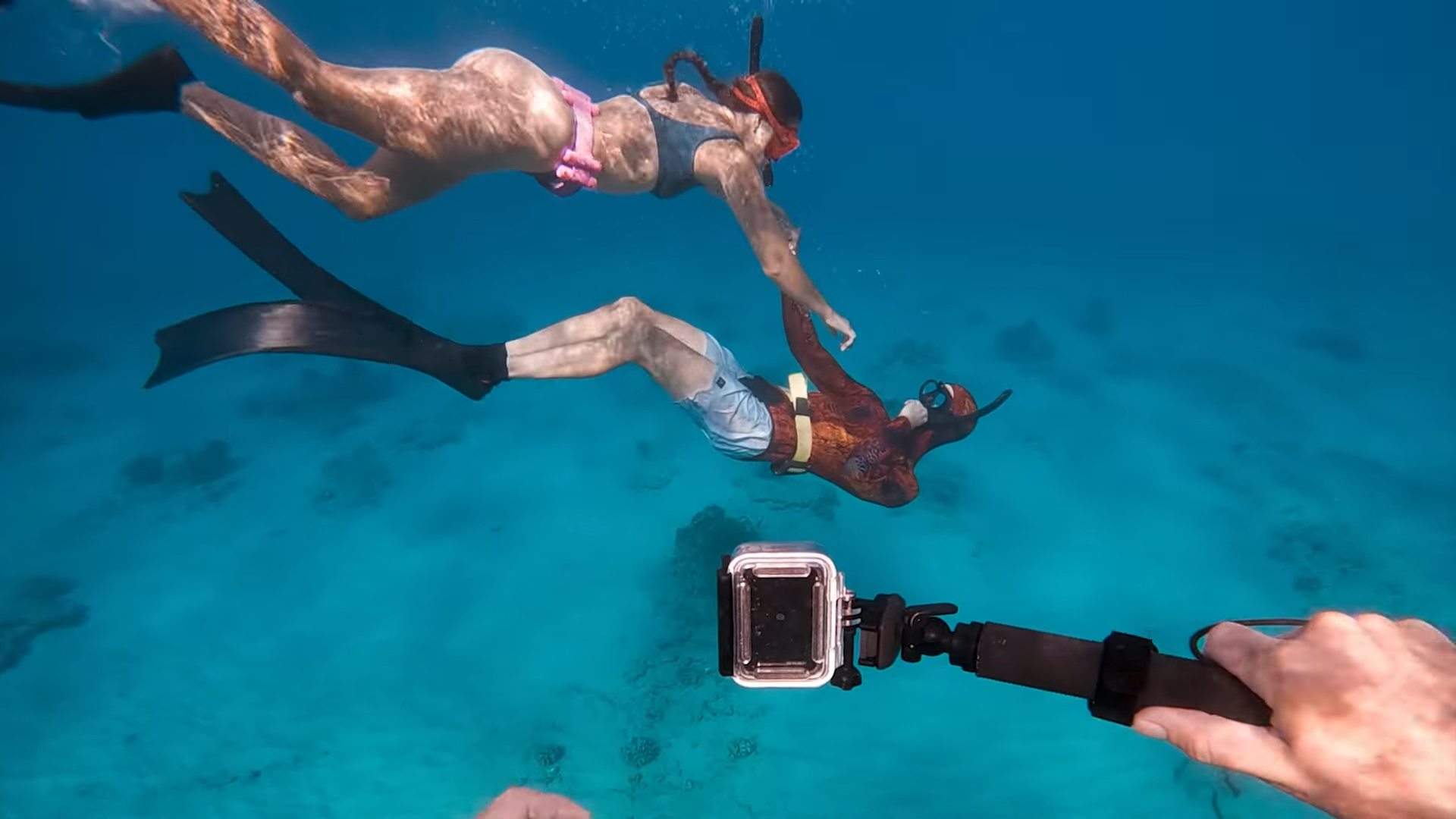 This is why you should be cautious while recording underwater