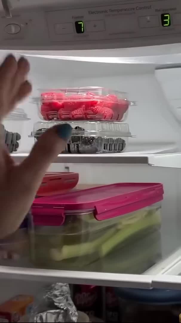 Put a Dollar Tree cutting board in your fridge...👀