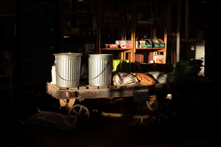 Customers say final farewell to Ann Arbor’s Downtown Home and Garden as ...