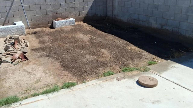 Gardener shares incredible before-and-after photos after planting new ...