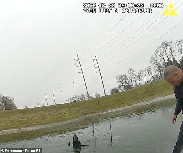 Cop braves freezing water to save howling dog who slipped through icy ...