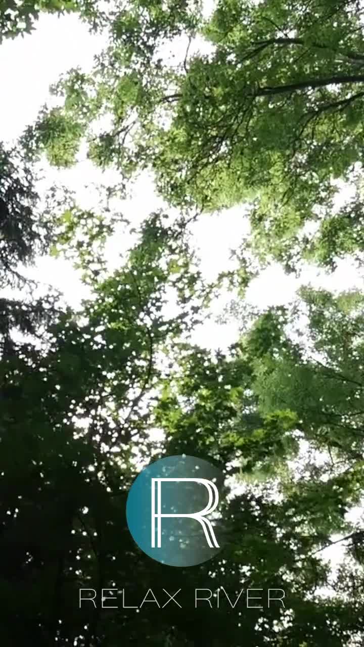 A #short walk in the morning to enjoy new year's sounds of #nature