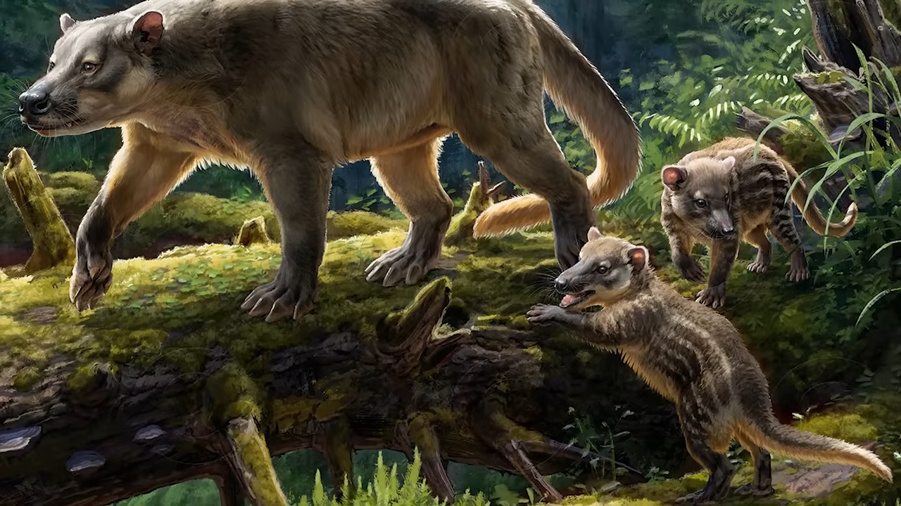 This is the world the dinosaurs left behind