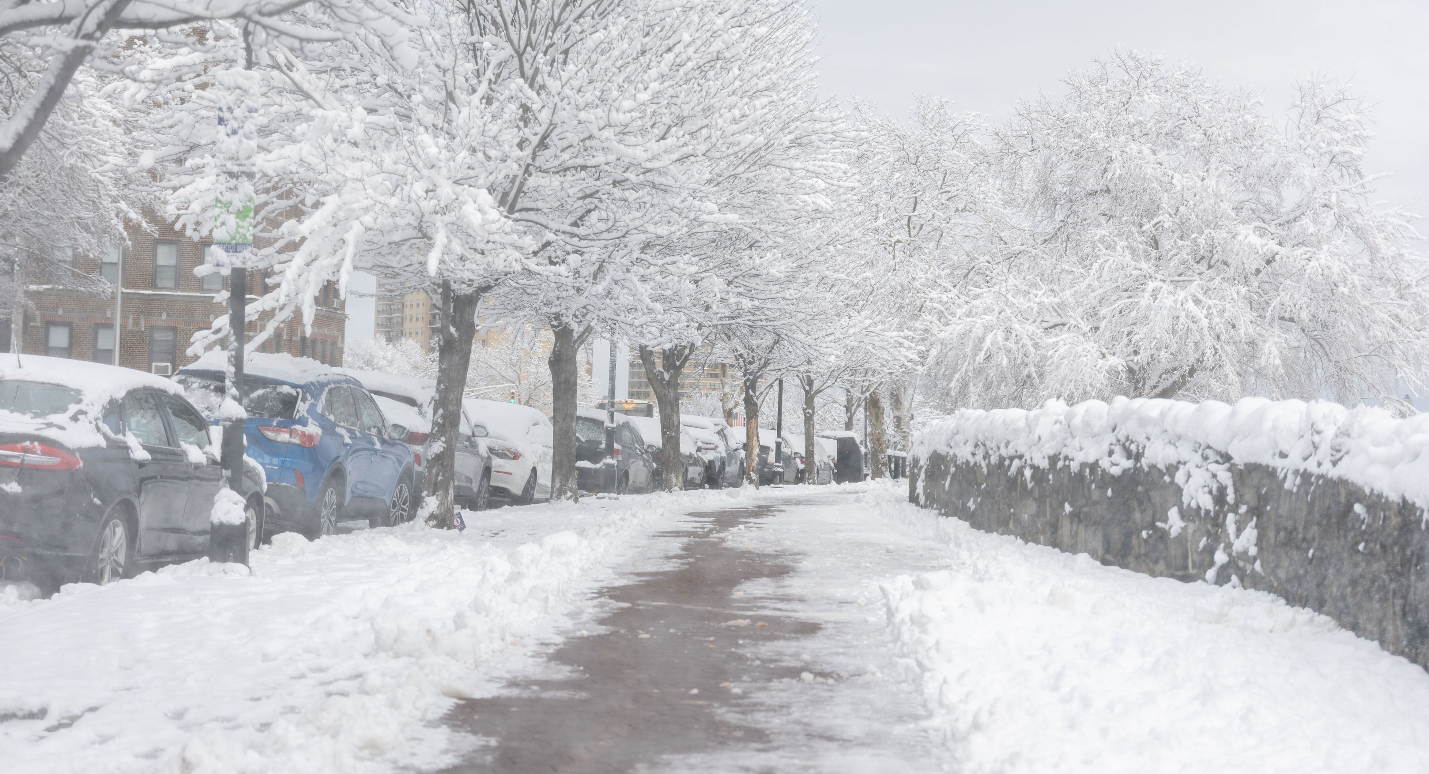 ¿Qué tal una tormenta de nieve el viernes? Partes de NY y NJ podrían ...