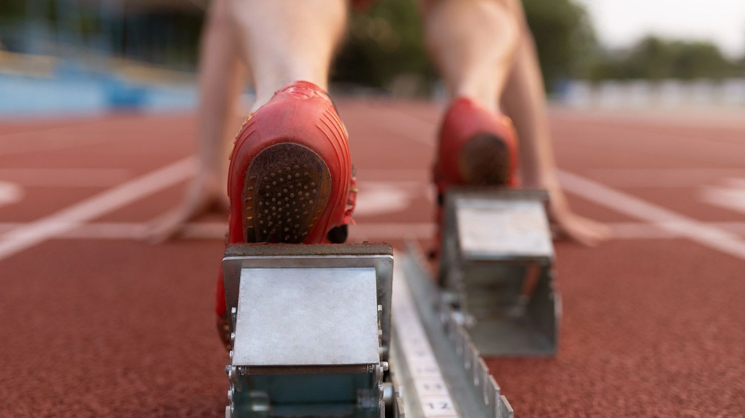 Legislator proposes Protest Girls' Sports in Arizona Act