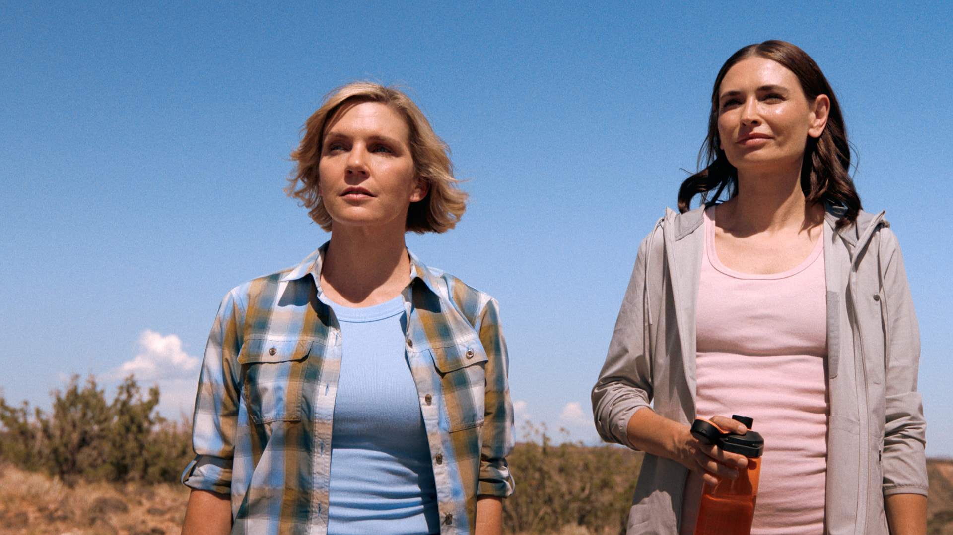 Pluribus season 1 episode 9 ending explained: Did the Others lie to ...