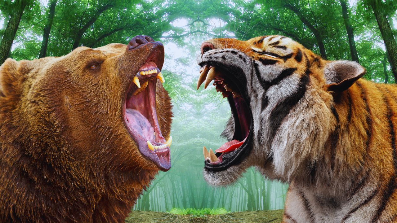 10 animals that could defeat a grizzly bear in a one-on-one fight