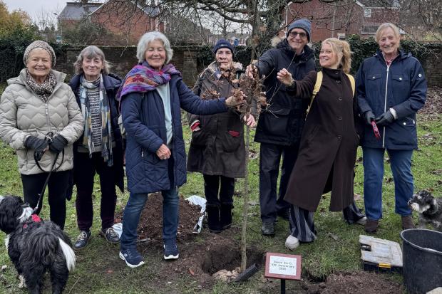 Dance group for over 60s celebrate 10th anniversary by planting a tree