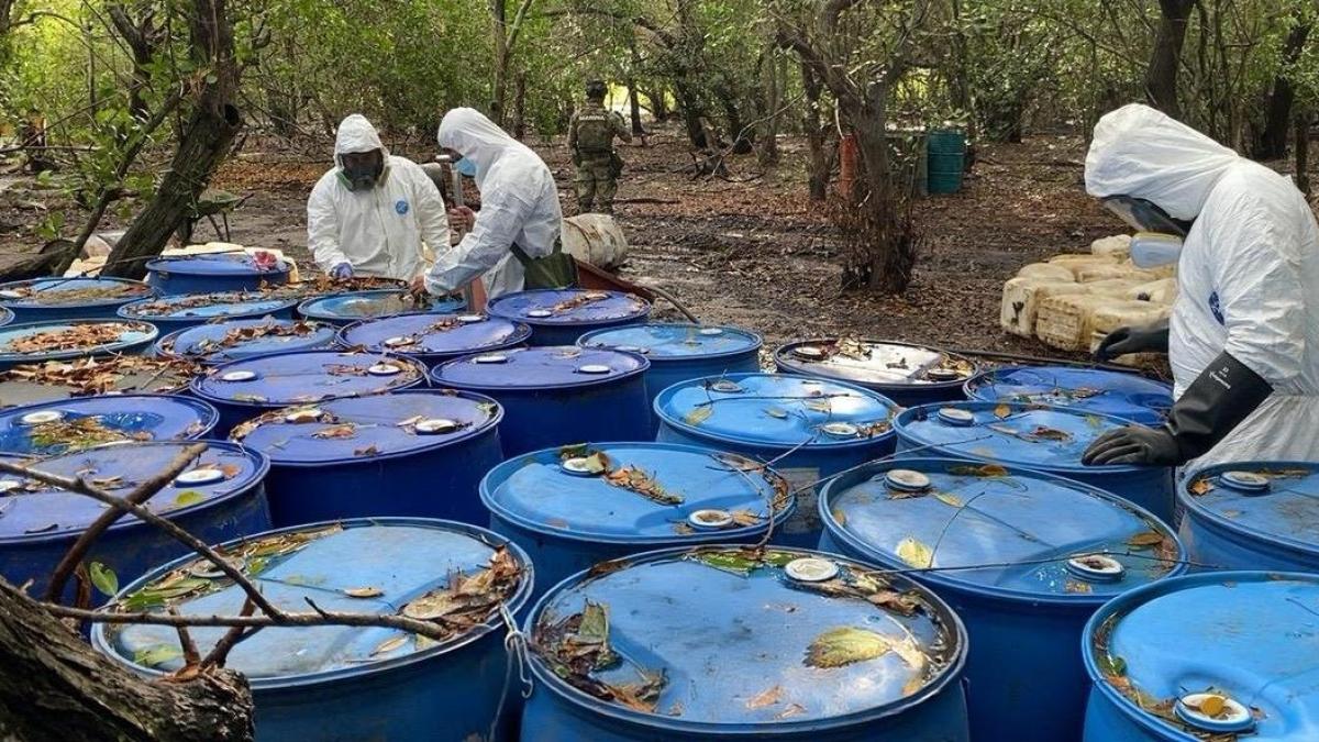 Más de 13 mil detenidos y cargamentos históricos de droga, reporta Semar
