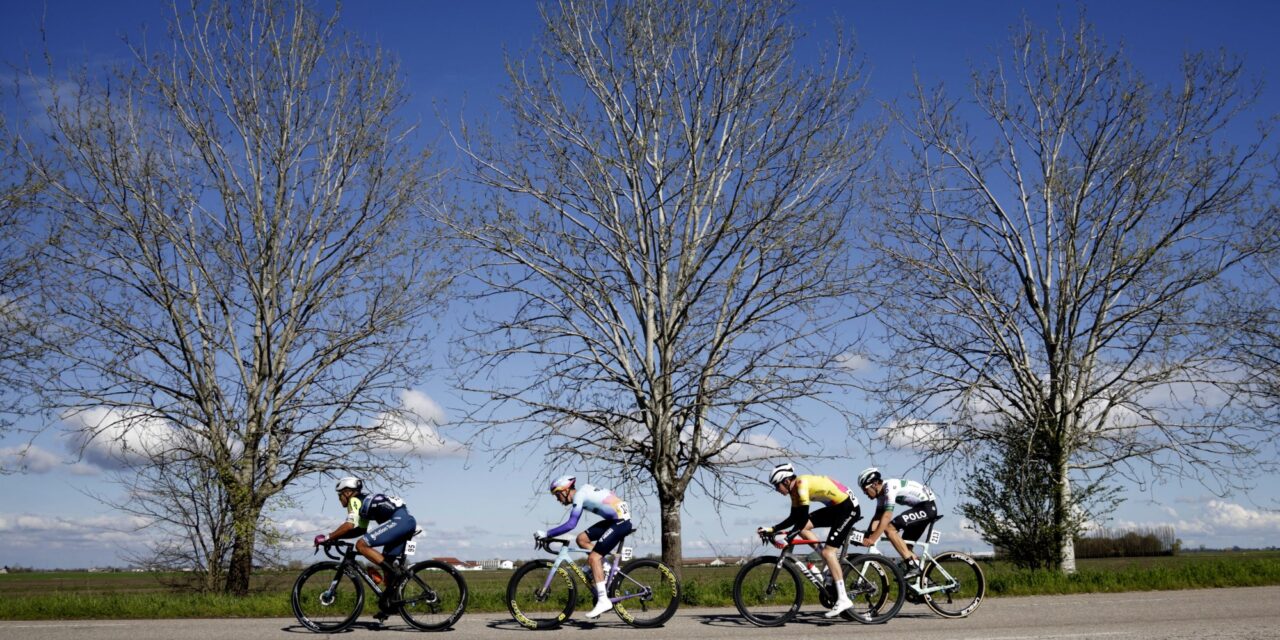 Man opgepakt na beschieten Italiaanse wielerploeg: "Hij heeft een ...