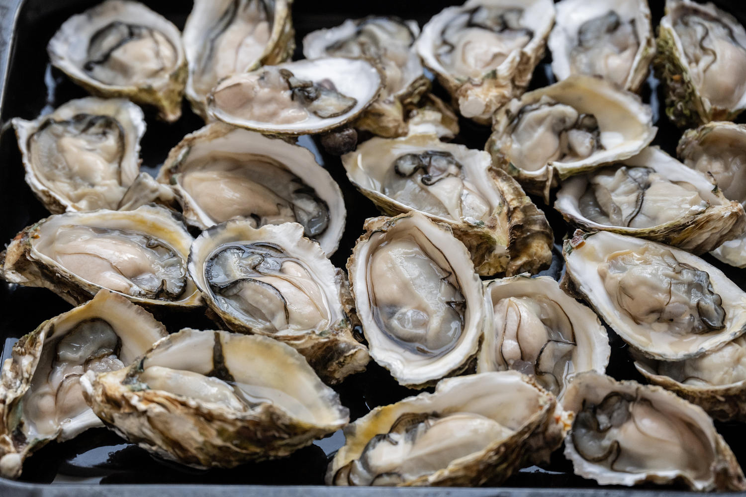 20 hospitalized in salmonella outbreak linked to raw oysters