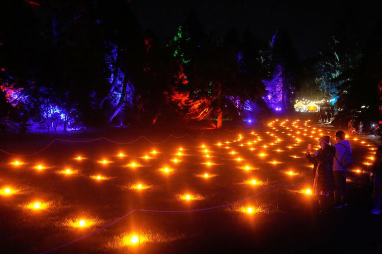Power of a million lights: Golden Gate Park's dazzling holiday display ...