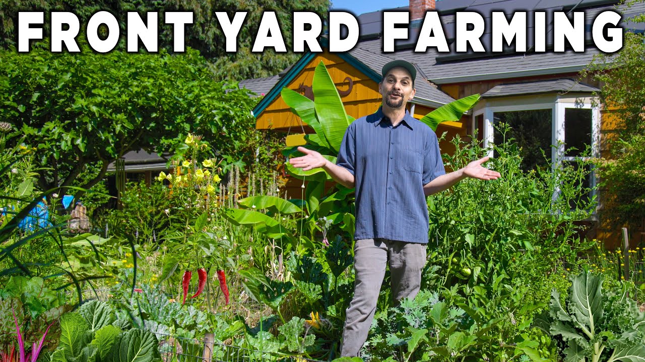 I transformed my lawn into a food paradise!