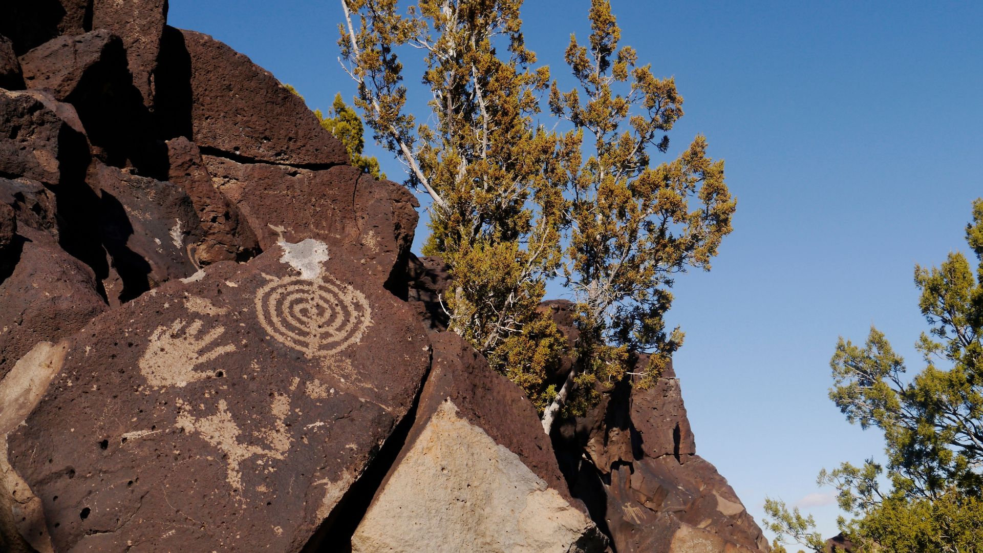Unexpected discovery along the US-Mexico border unveils a fascinating ...
