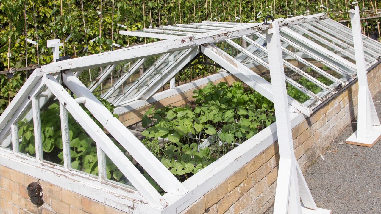 Now is the time to install a cold frame: 5 types to choose from