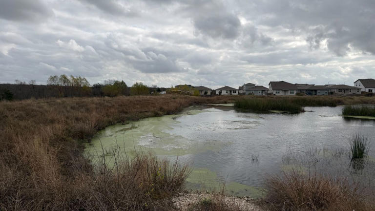 200,000-gallon sewer overflow kills fish in Pflugerville creek