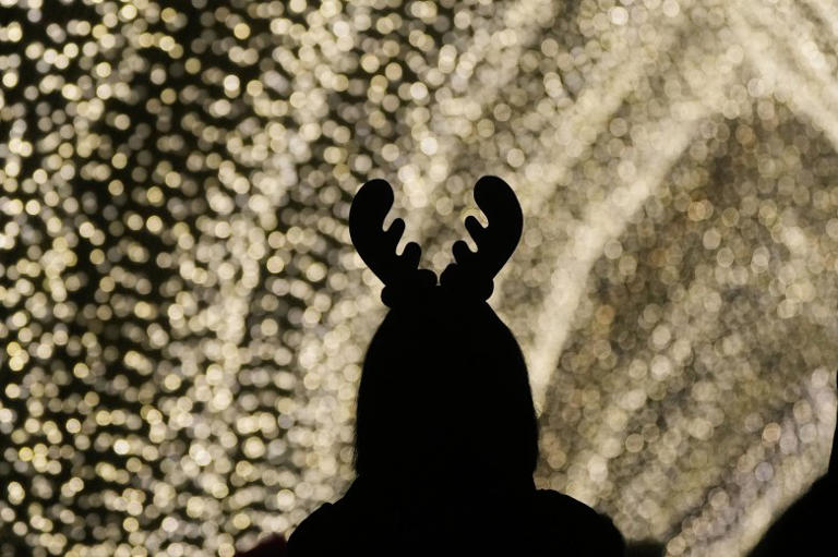 Power of a million lights: Golden Gate Park's dazzling holiday display ...