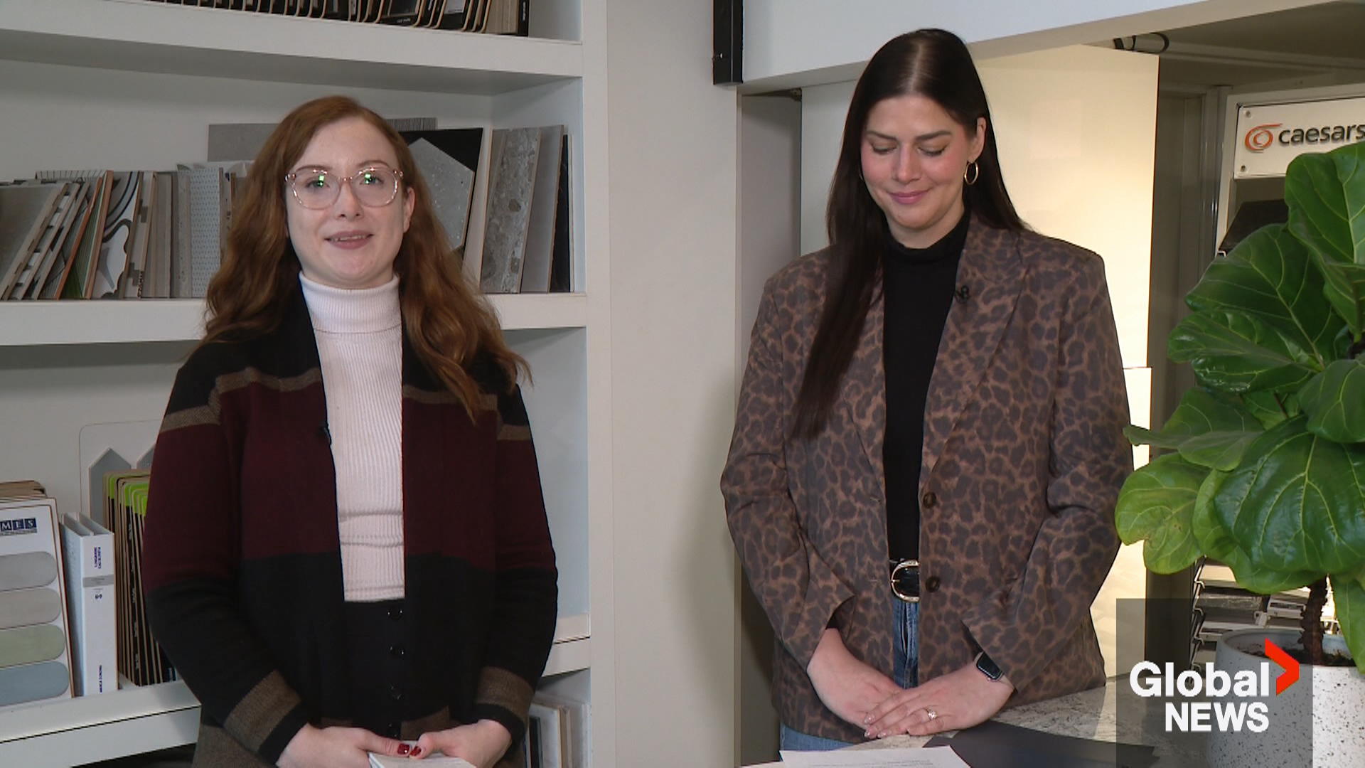 Decor and design: timeless colour palettes