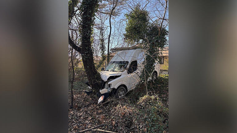 ICE agents open fire on van driver who allegedly tried to run them over ...