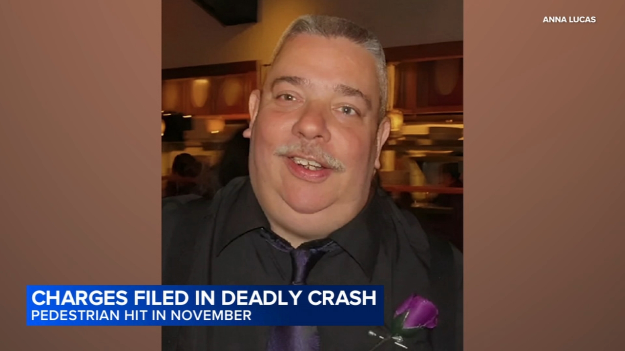 Woman charged with killing pedestrian in Zion was allegedly ...