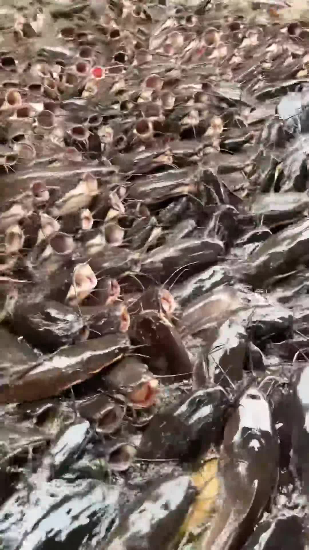 This is weirdly creepy 😳