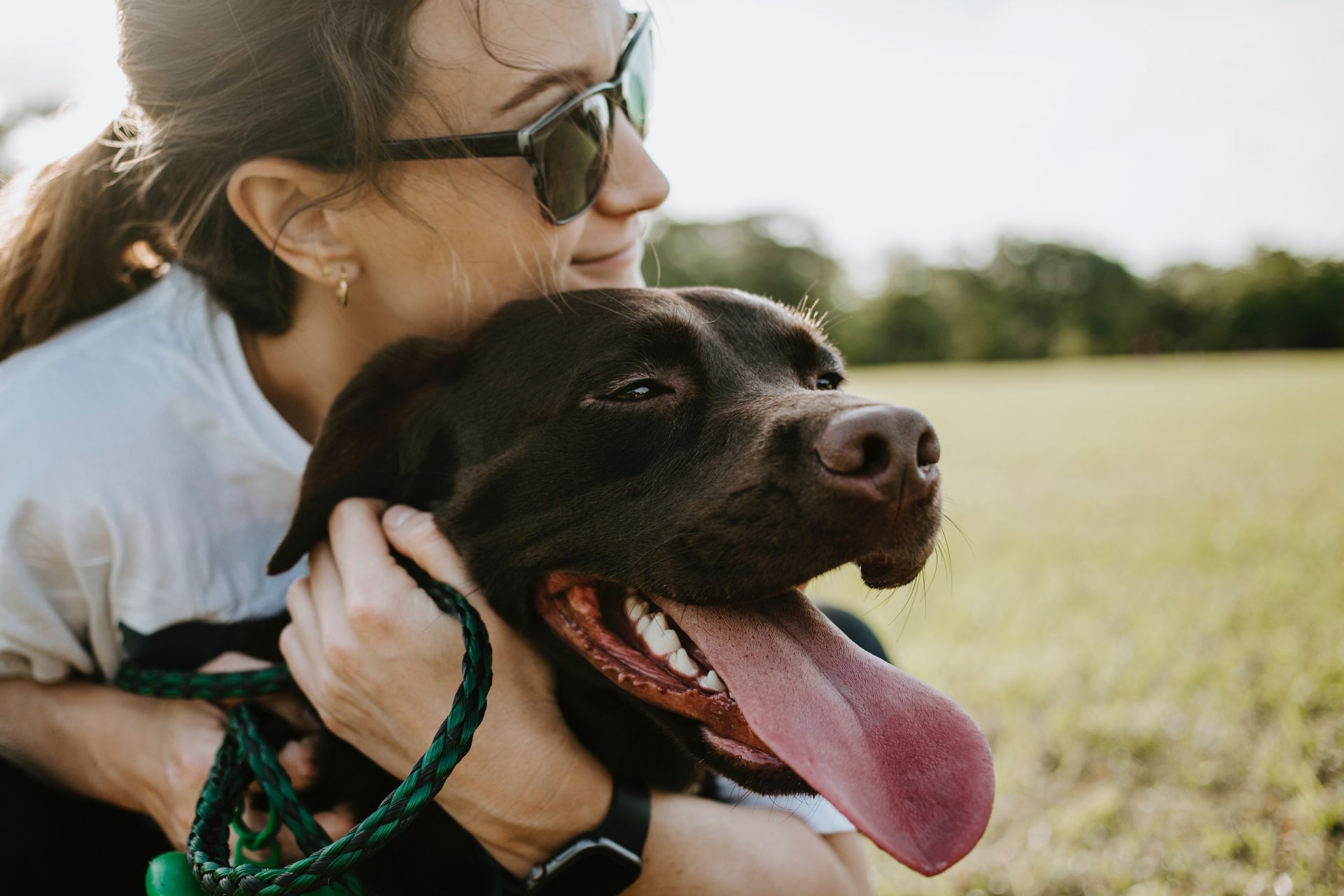 Science says dogs cry happy tears when reunited with their owners