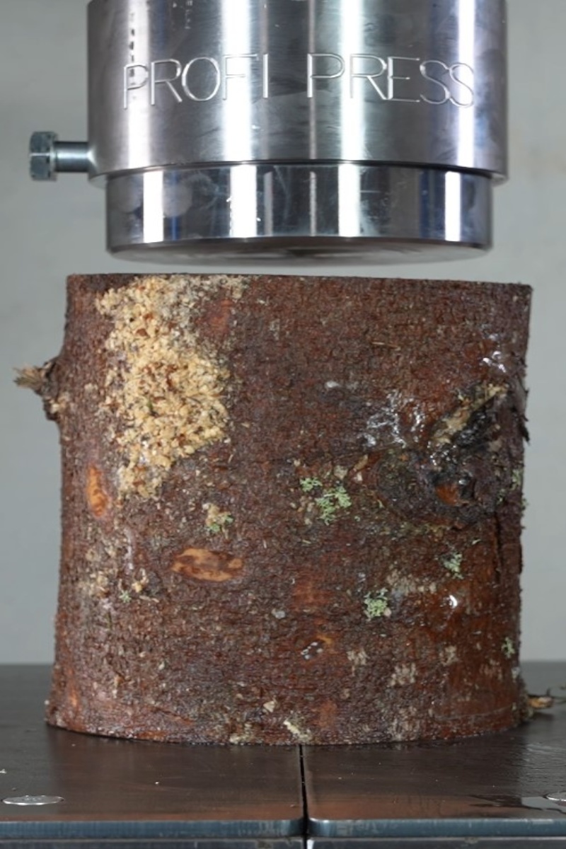 Hydraulic press vs solid tree log