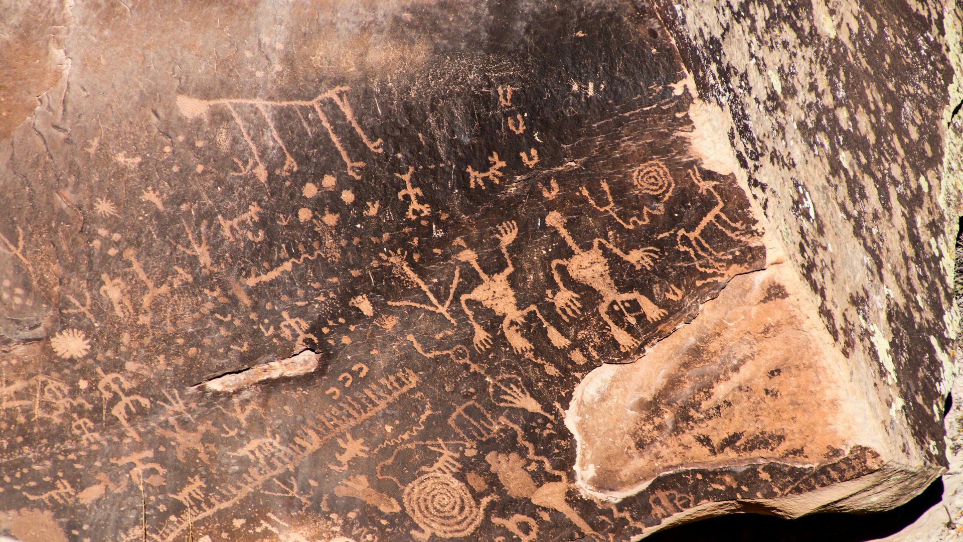 Unexpected discovery along the US-Mexico border unveils a fascinating ...
