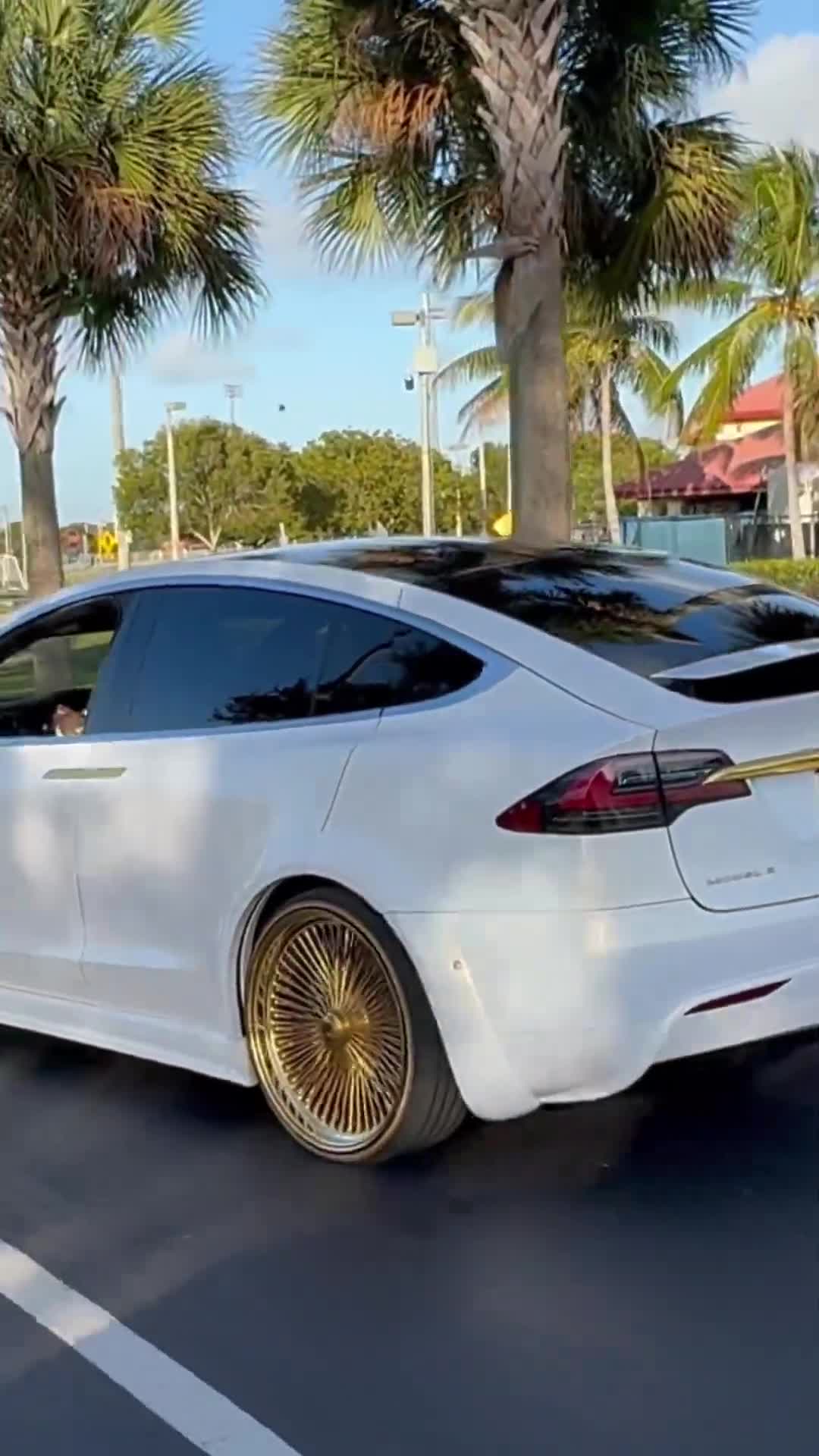 Pearl white Model X Tesla on gold 24’s Daytons riding clean