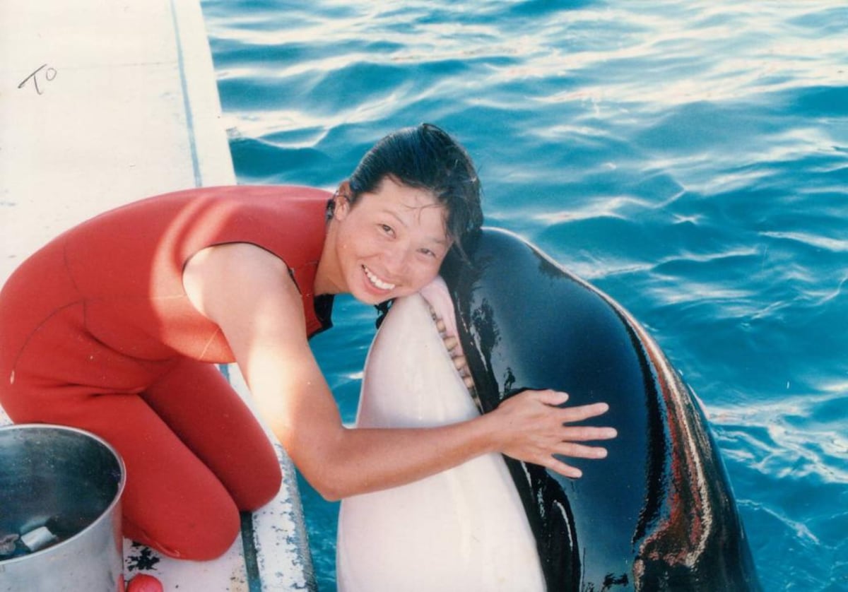 アイスランドからきた2頭のシャチ 飼育に挑戦も生きたサバ以外は食べてくれないカレン