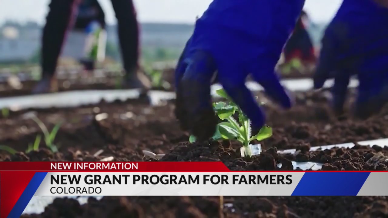 State accepting applications for urban farming microgrants