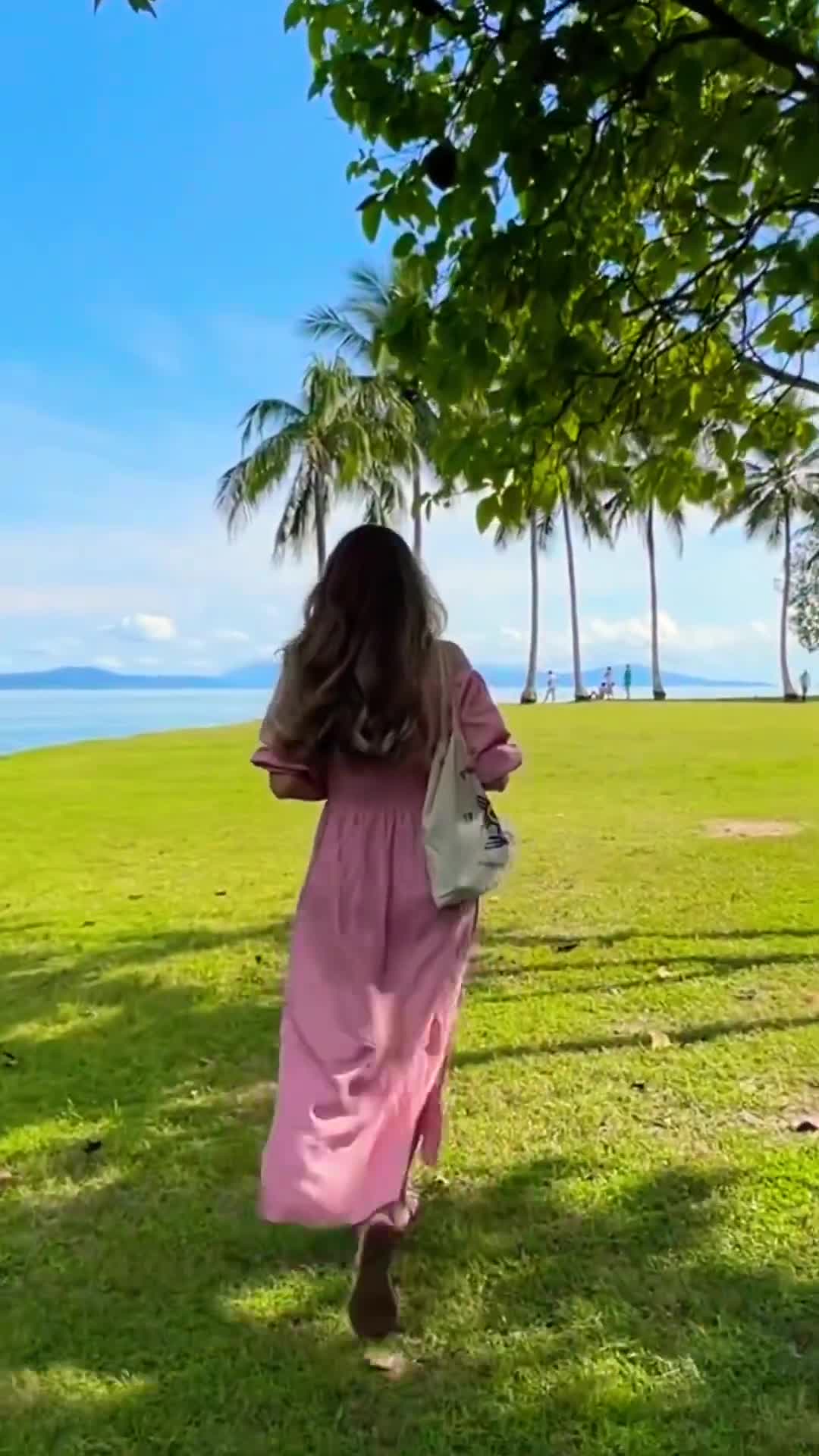 How beautiful is Port Douglas? At Rex Smeal Park #shorts