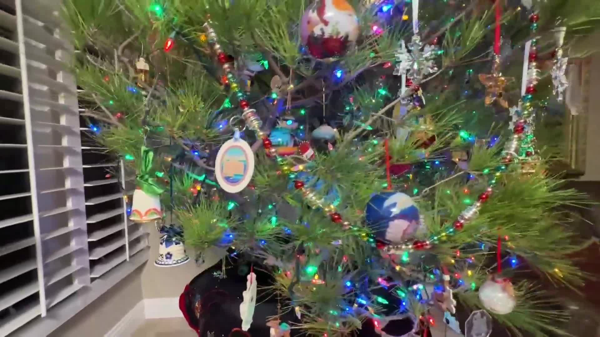 ‘It’s more than a tree,’ family uses same Christmas tree for over 40 years