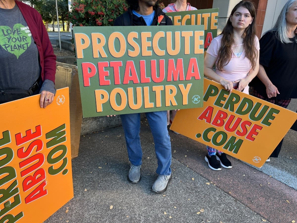 Animal rights activist Zoe Rosenberg released from jail: Watch