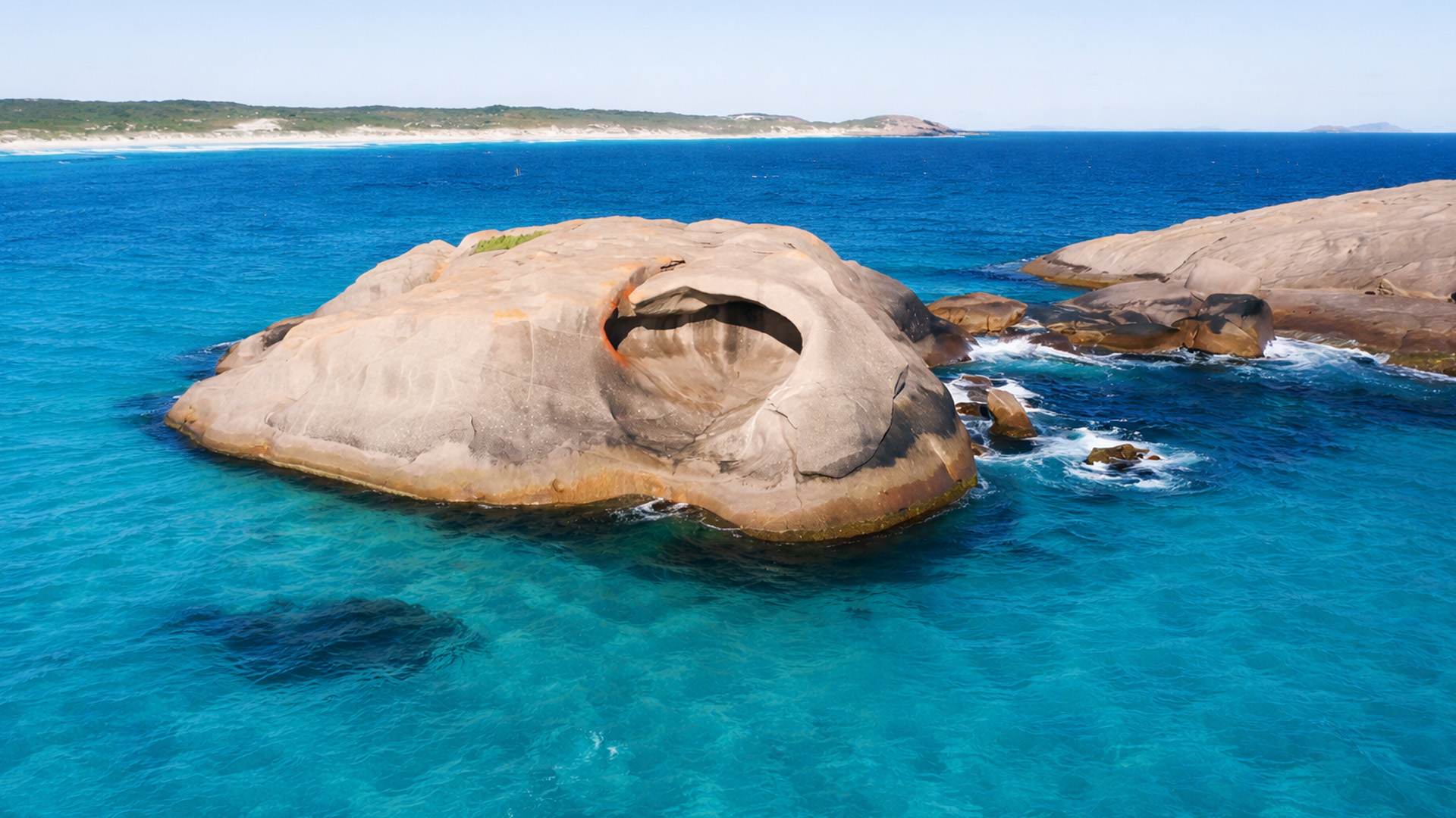 Is that a giant elephant head?