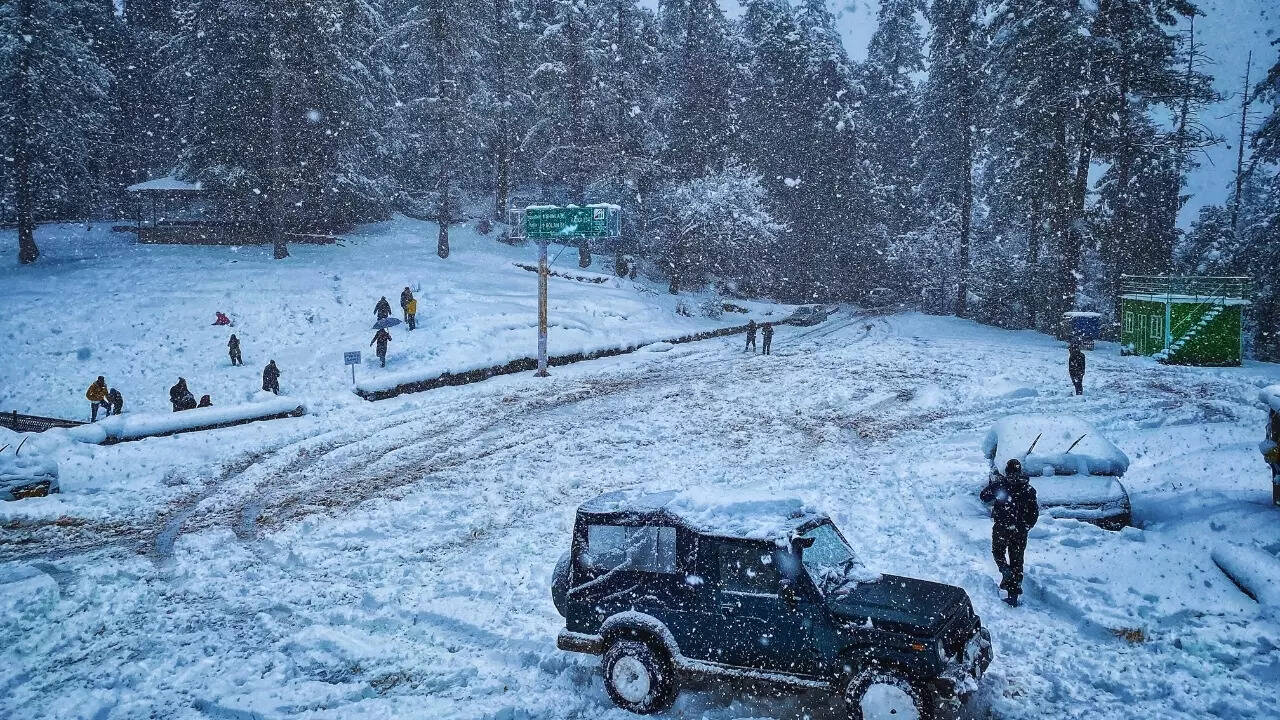 Year-end travel alert: Dense fog and cold wave to disrupt journeys ...