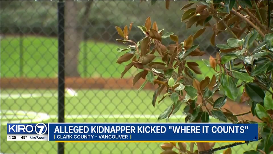 VIDEO: Attempted kidnapping attempt in Vancouver