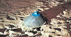 Odisha carries out satellite tagging of Olive Ridley sea turtles