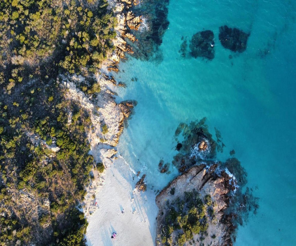 Quiz. Czwartkowy test z geografii o wyspach. Tylko prawdziwi eksperci ...