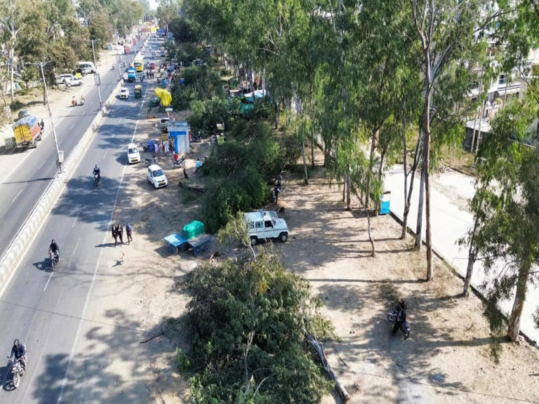 NGT halts Ayodhya bypass road project after large-scale tree removal in ...