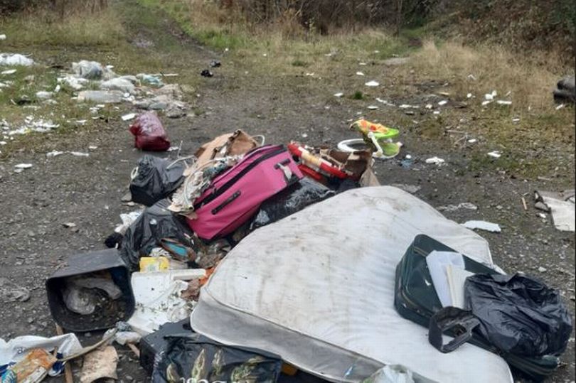 Removal man who dumped and torched random items on lane has van crushed